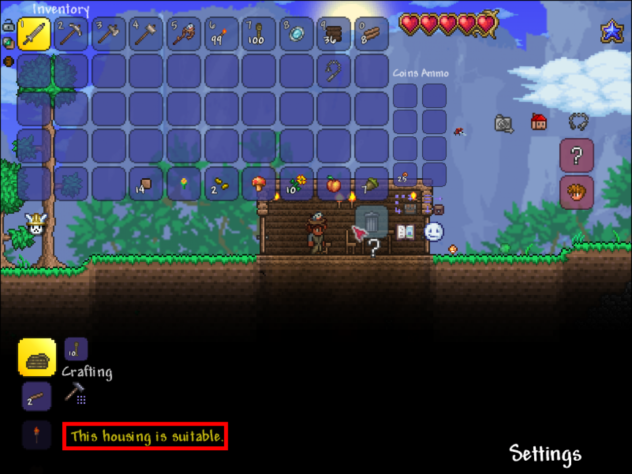 How To Get NPCs in Terraria
