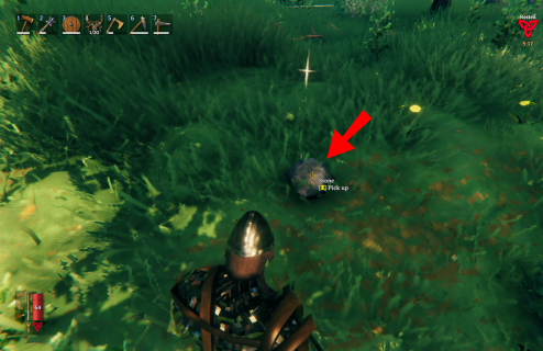 How To Plant Carrots in Valheim