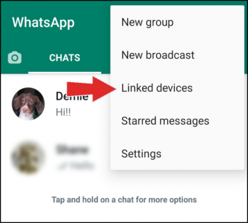How to Make a WhatsApp Video Call in Windows 10
