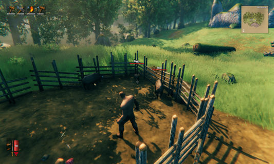 How to Tame a Boar in Valheim