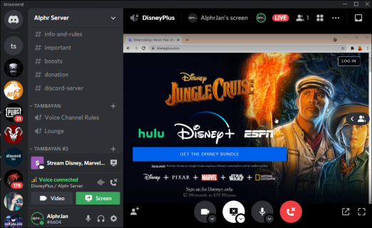 How To Watch Disney Plus With Friends