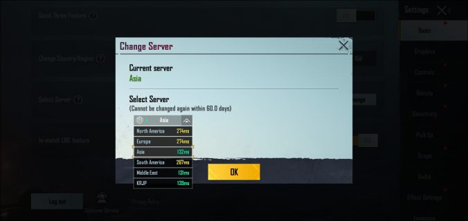 PUBG: How to Play With Bots