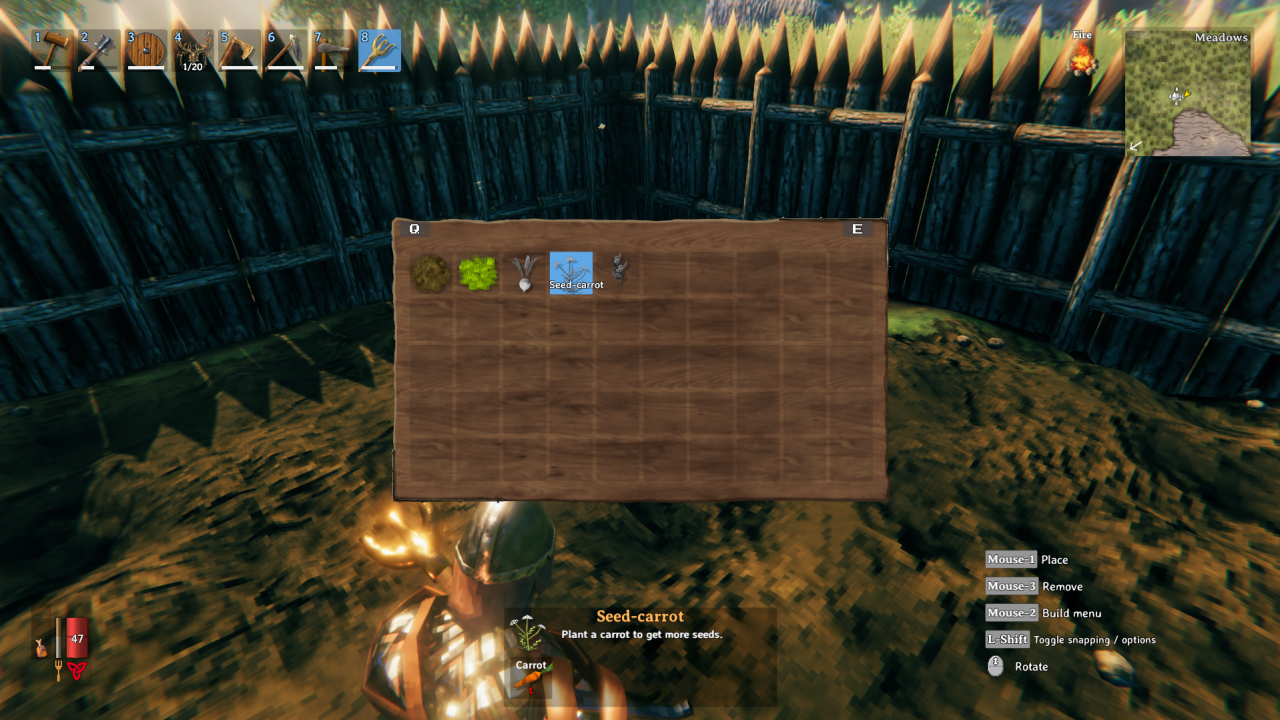 How To Plant Carrots in Valheim