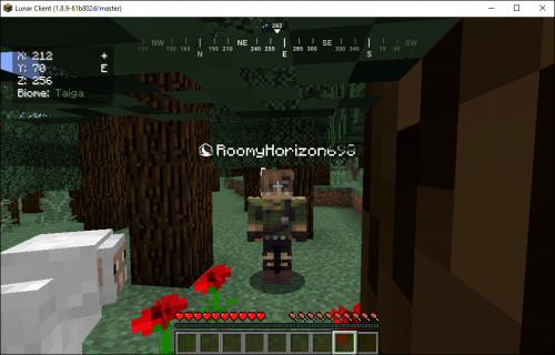 How to Add a Custom Skin to Minecraft Java