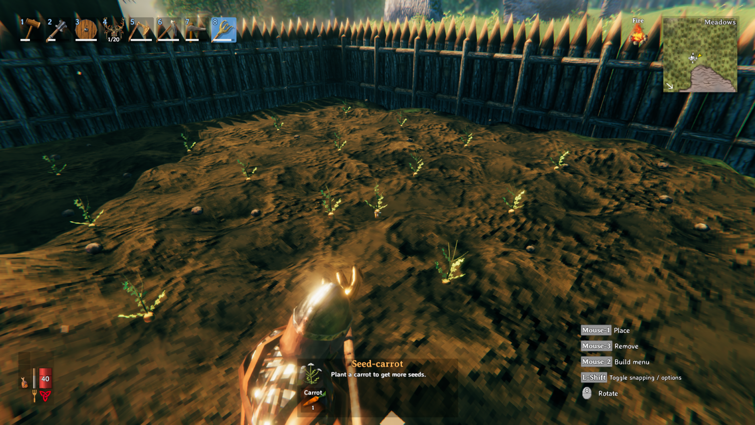 How To Plant Carrots in Valheim