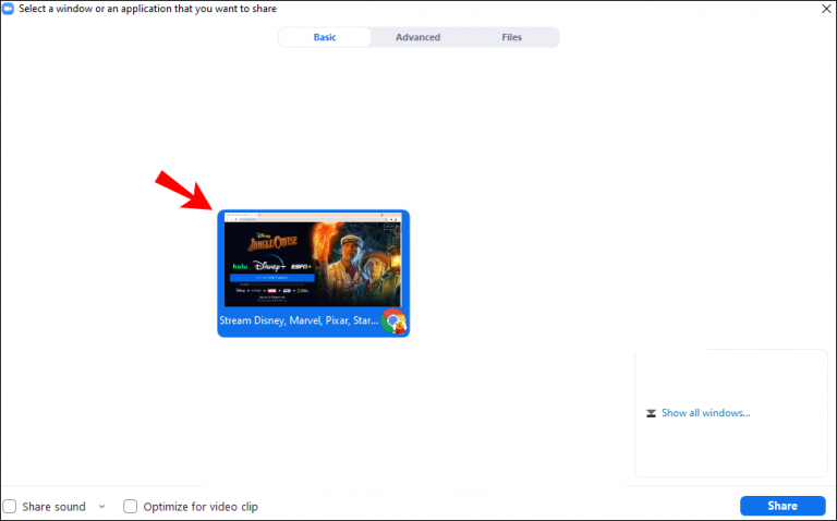 How To Watch Disney Plus With Friends