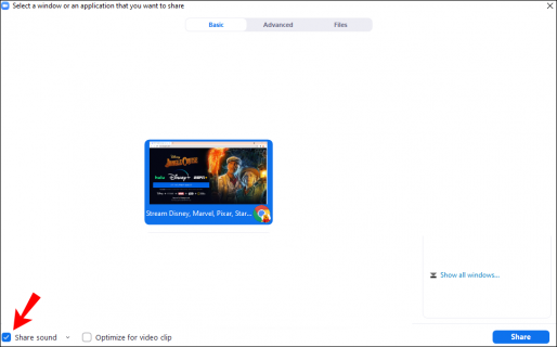 How To Watch Disney Plus With Friends