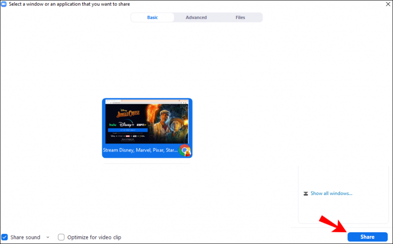 How To Watch Disney Plus With Friends