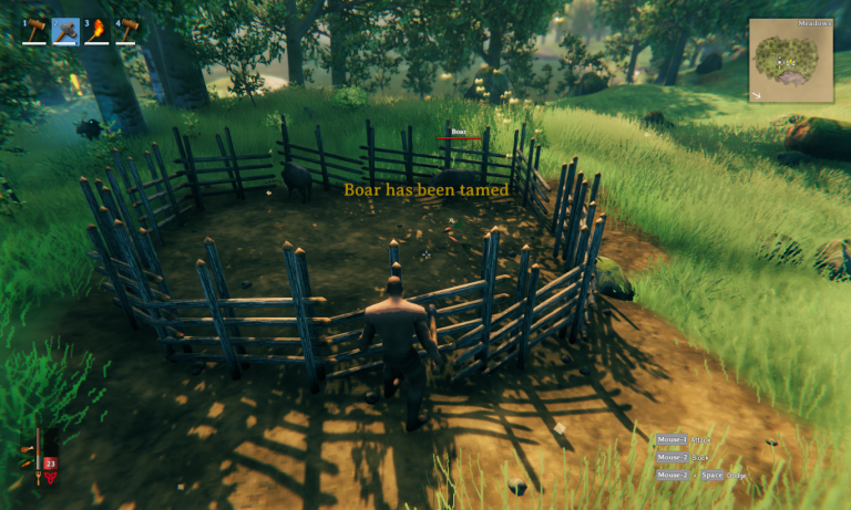 How to Tame a Boar in Valheim