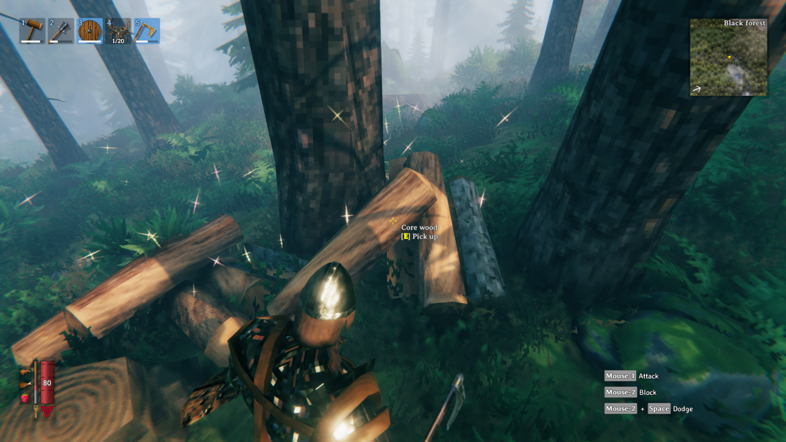 How To Plant Carrots in Valheim