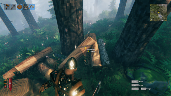 How To Plant Carrots in Valheim