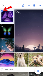 How to Select All in Google Photos from a PC or Mobile Device