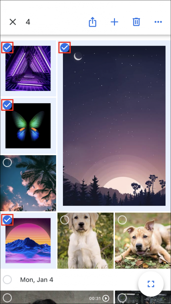 How to Select All in Google Photos from a PC or Mobile Device