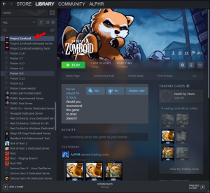 How to Play Build 41 in Project Zomboid