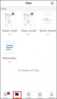 How to View the File Size in Dropbox