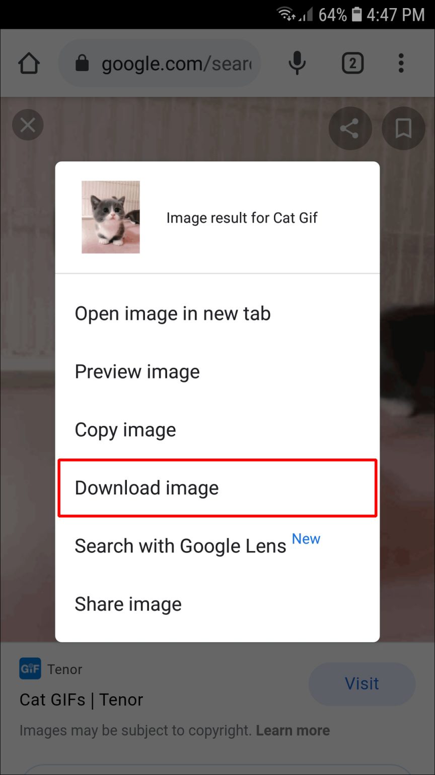 How to Use GIFs in Signal