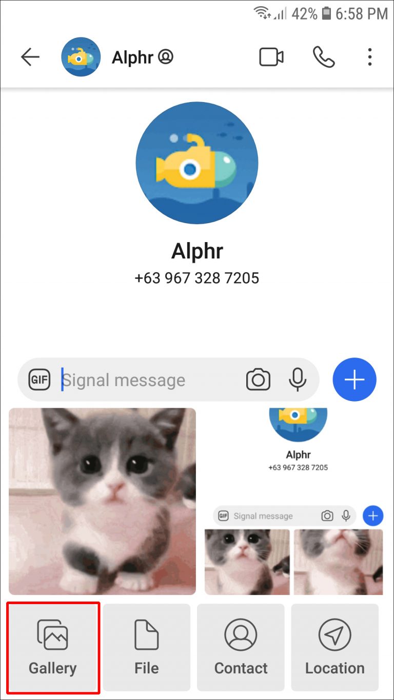 How to Use GIFs in Signal