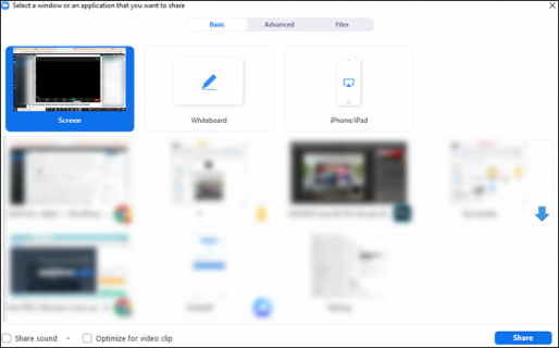 Can Zoom See My Entire Screen When Streaming a Call?