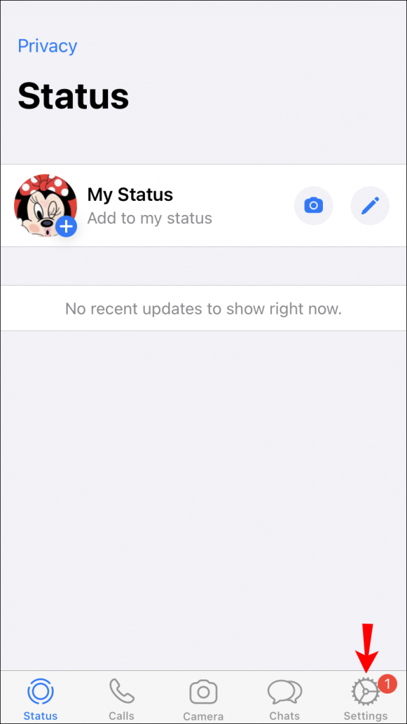 How to Hide Your Online Status on WhatsApp