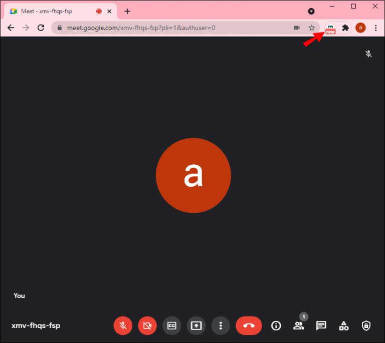 How to View Participants While Presenting in Google Meet
