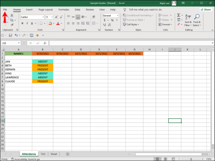How To Remove Shared Access Permissions for Someone in an Excel File