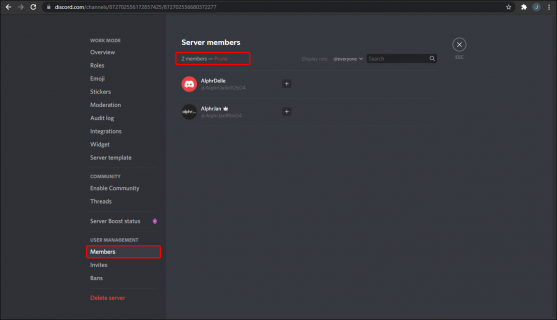 How to Show Member Count in Discord