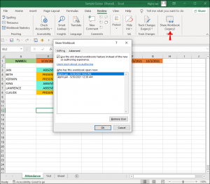 How To Remove Shared Access Permissions for Someone in an Excel File