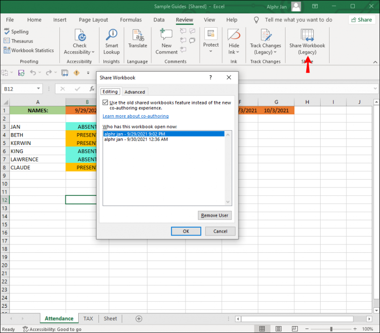 How To Remove Shared Access Permissions for Someone in an Excel File