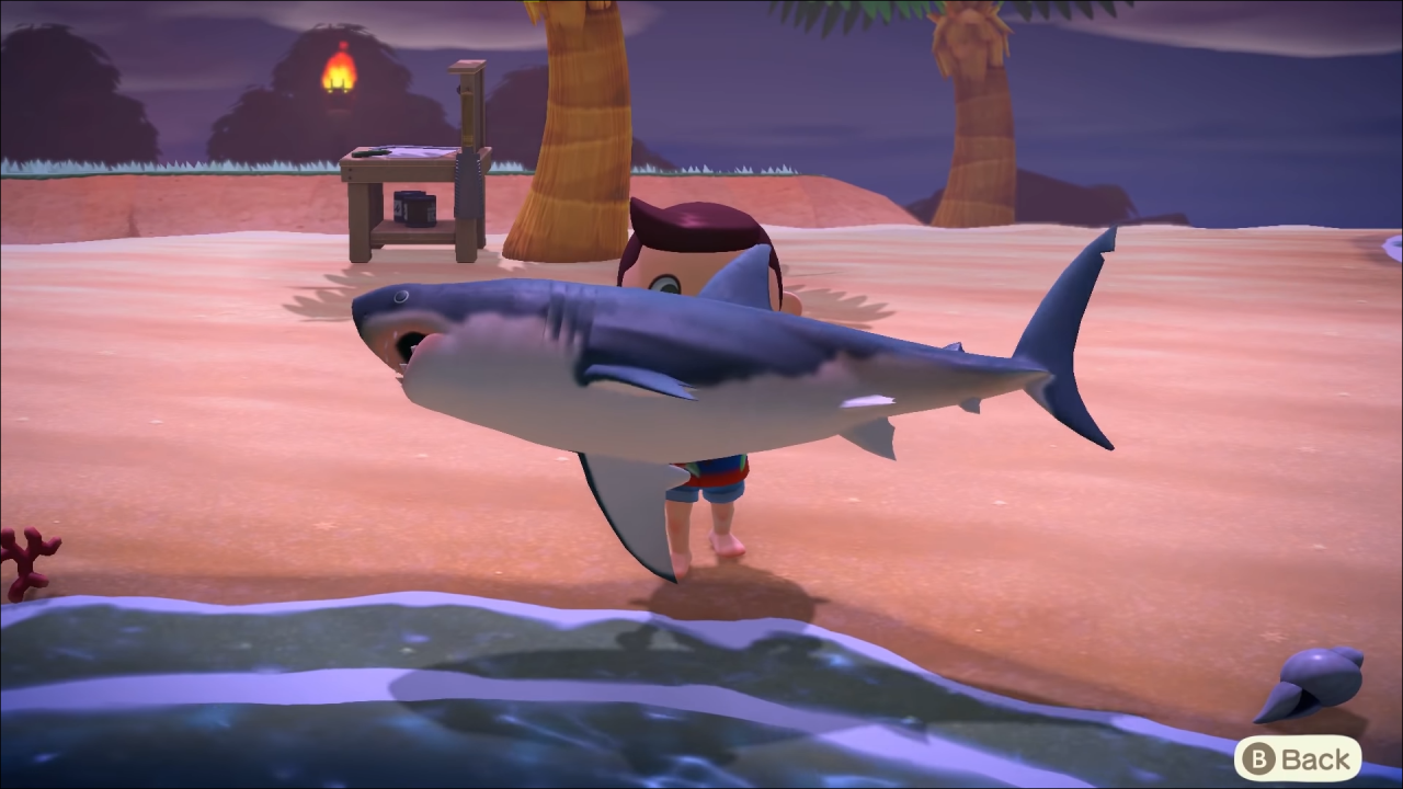 How to Catch a Shark in Animal Crossing