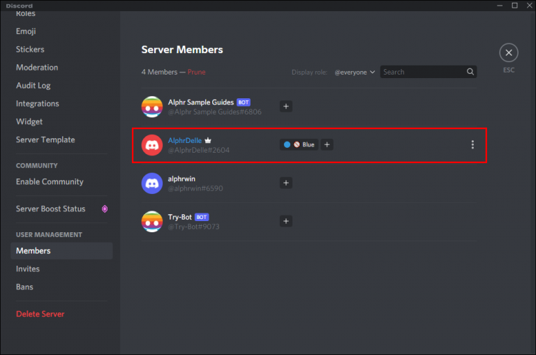 How to Check Who Owns a Discord Server