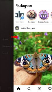 How to Add Text to an Instagram Photo