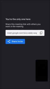 How to View Participants While Presenting in Google Meet