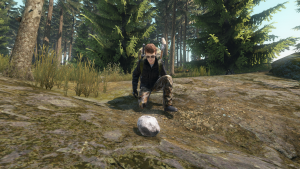 How to Get Stones in Dayz
