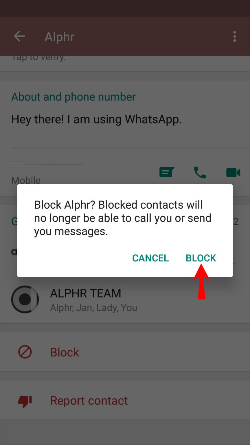 How to Block a Group in WhatsApp