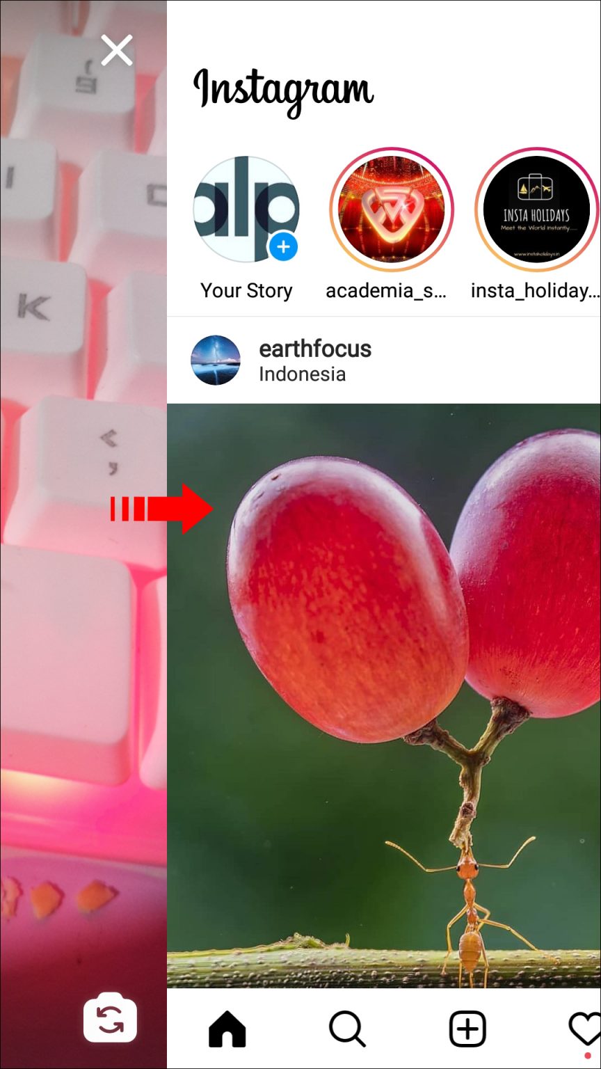 How to Add Text to an Instagram Photo