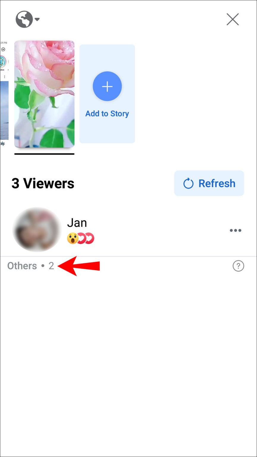 What Does 'Other Viewers' Mean for Facebook Stories?