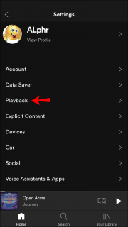 How To Normalize Volume in Spotify