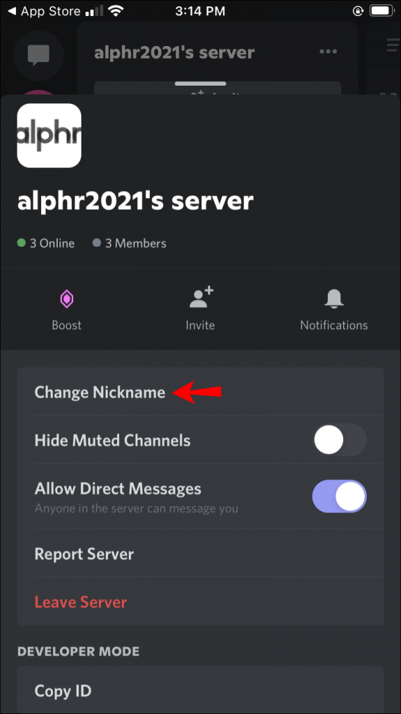 How to Make an Invisible Discord Name