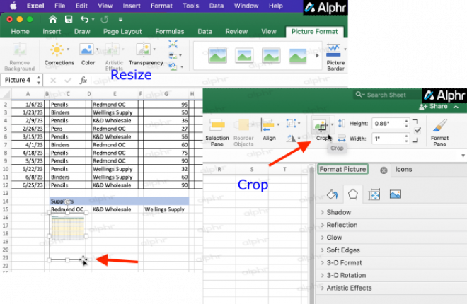 How to Embed a PDF in an Excel File