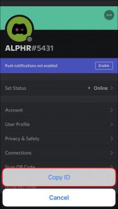 How to Find a Discord User ID