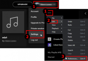 How to Add Local Files to Spotify