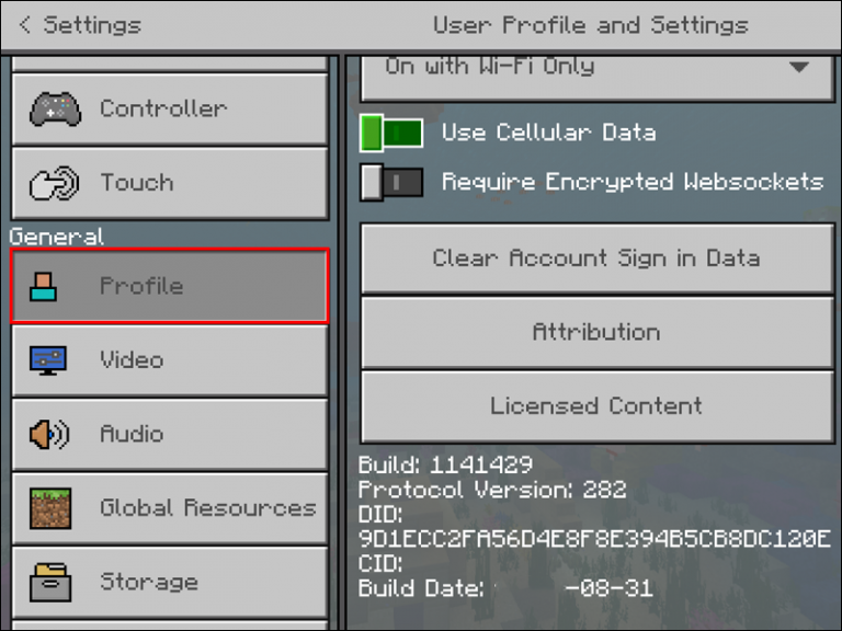 How To Fix Minecraft Error Code Drowned