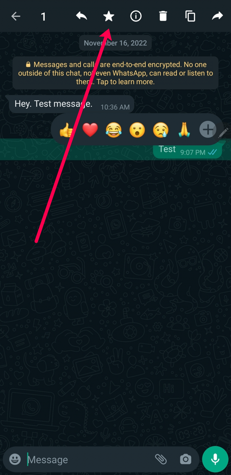 How to Know if Someone Read a Message in WhatsApp
