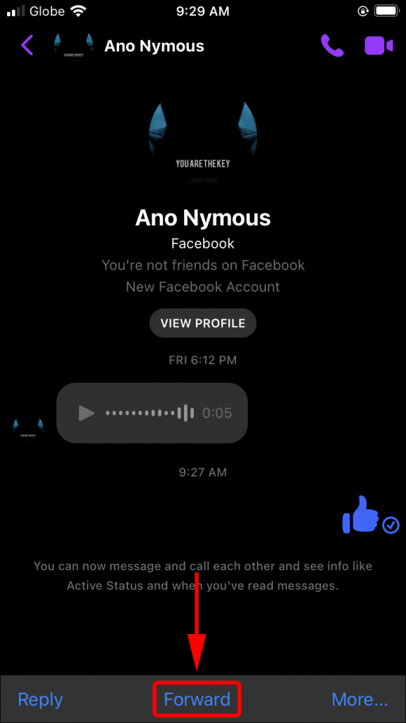 How to Download a Voice Message From Messenger