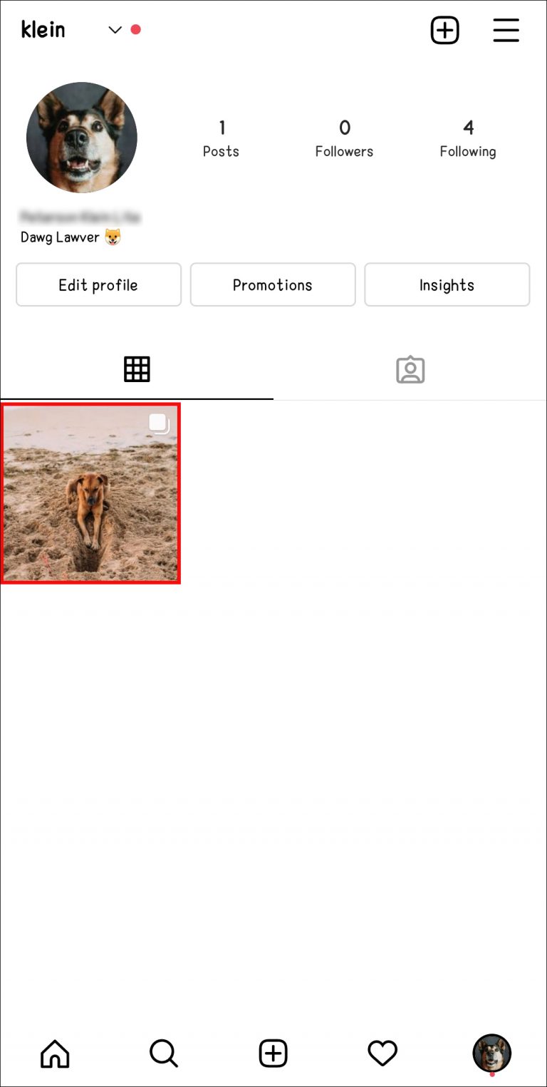 How to Check Who Reposted a Post in Instagram