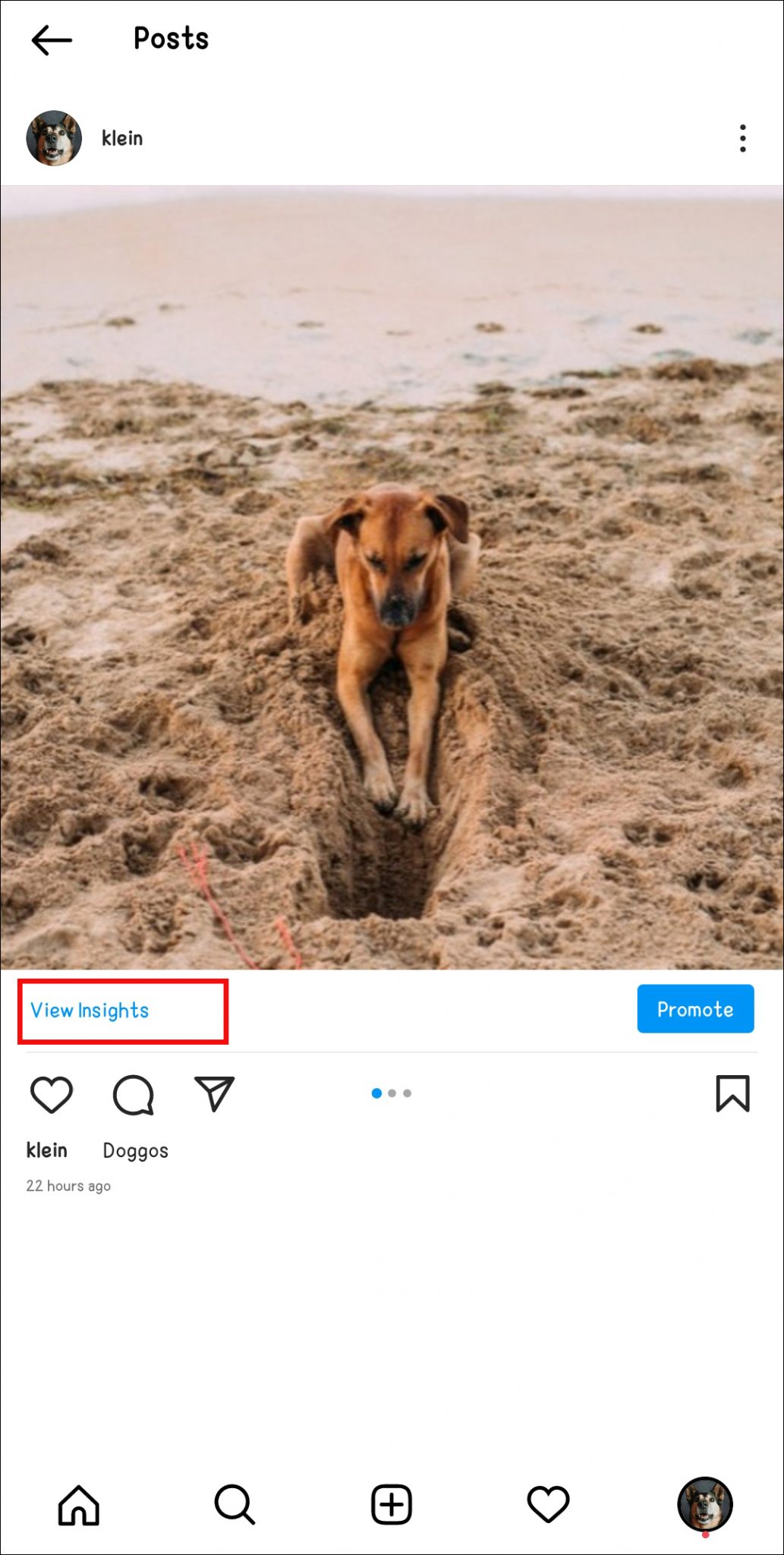 How to Check Who Reposted a Post in Instagram