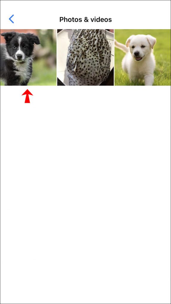 How To Download All Photos From a Messenger Conversation