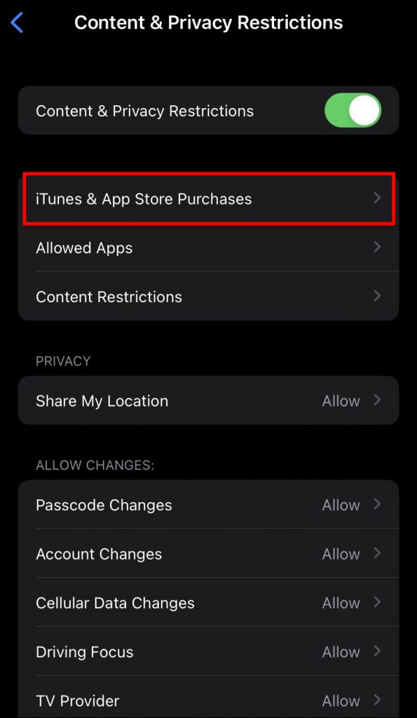 How to Block YouTube on an iPhone