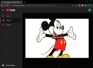 How to Start a Private Live Stream on YouTube