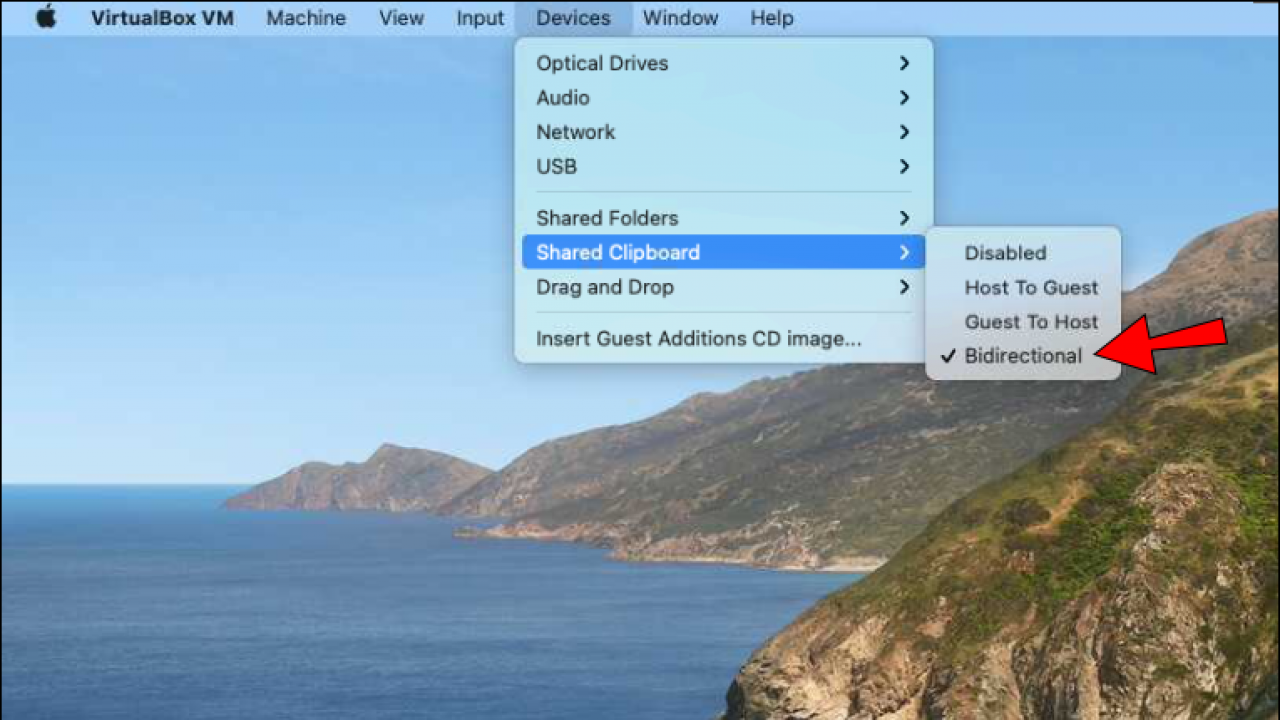 How To Transfer Files from VirtualBox to Host